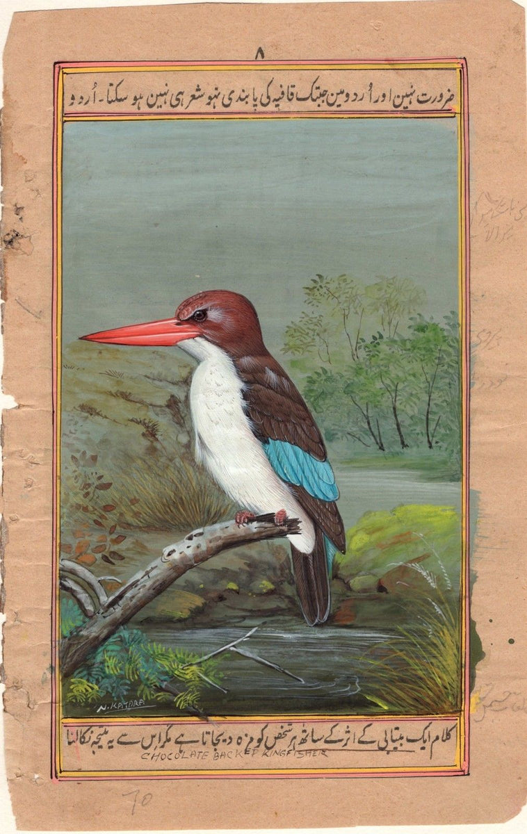 Chocolate Backed Kingfisher Bird Painting Handmade Nature Indian Minia ...