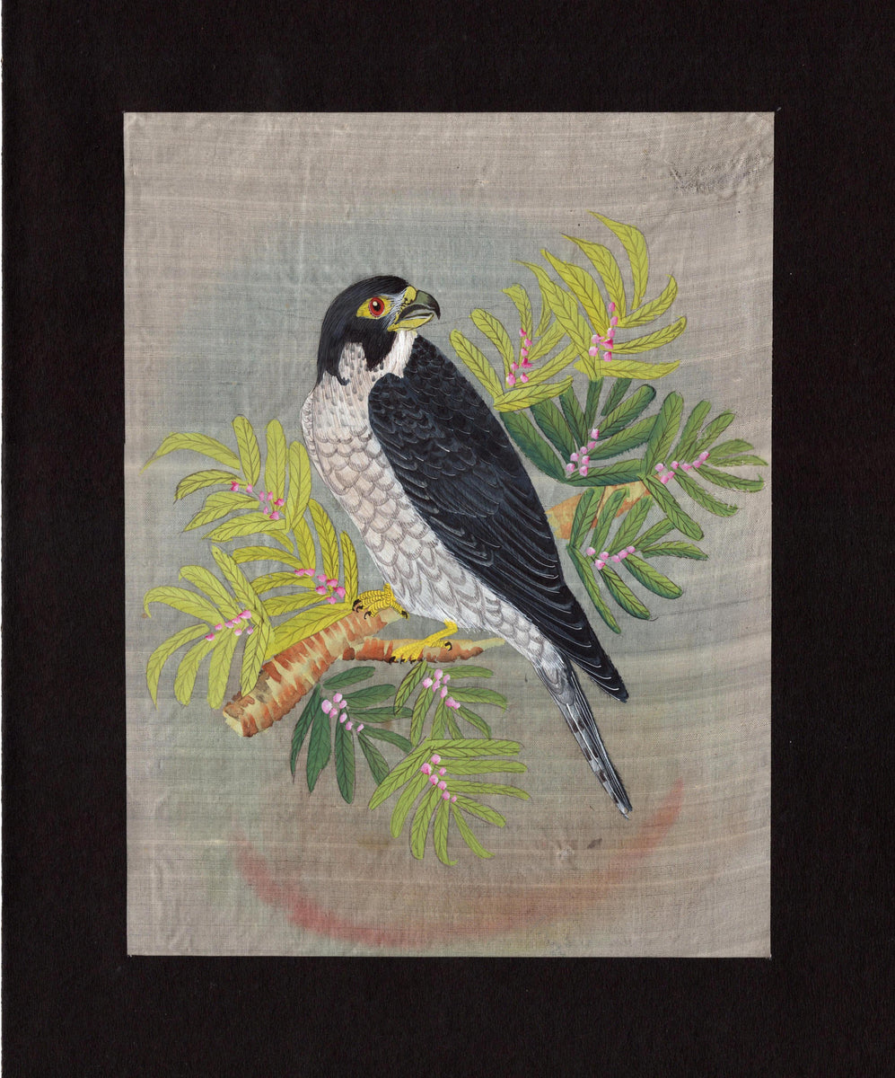 Indian Falcon Miniature Art Handmade Bird of Prey Miniature Nature Pai ...