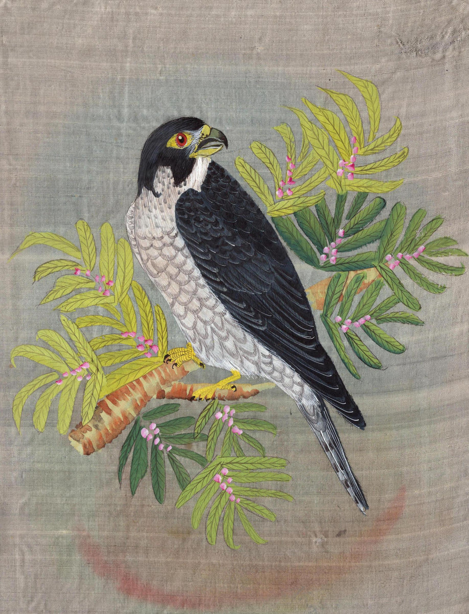Indian Falcon Miniature Art Handmade Bird of Prey Miniature Nature Pai ...